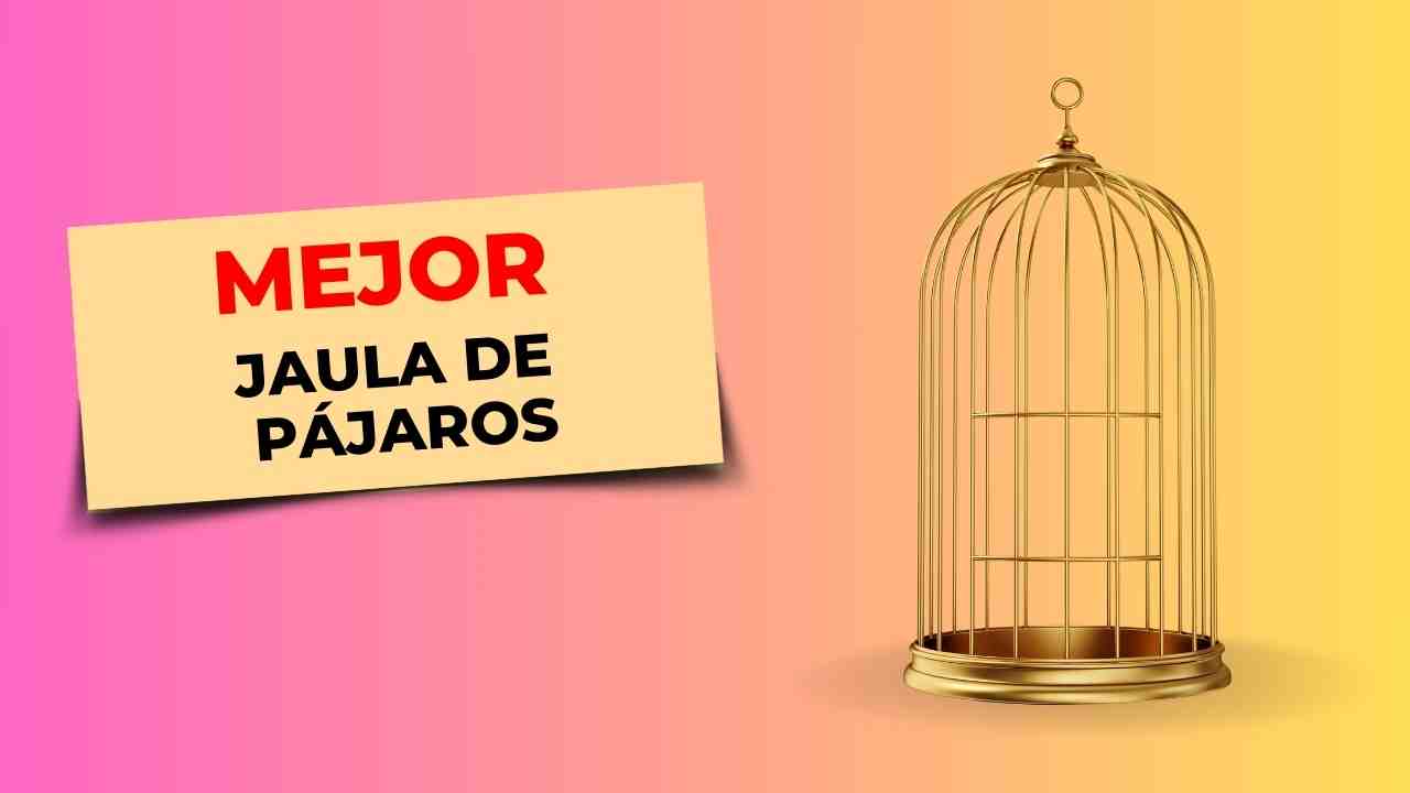 Las 7 Mejores Jaulas De Pájaros - 2024